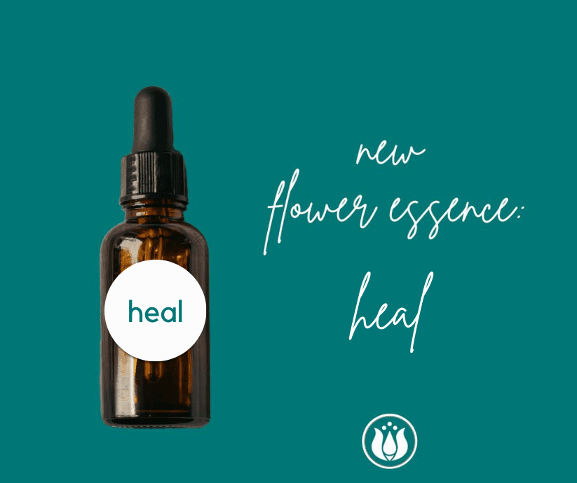 Heal - The Simplest Remedy